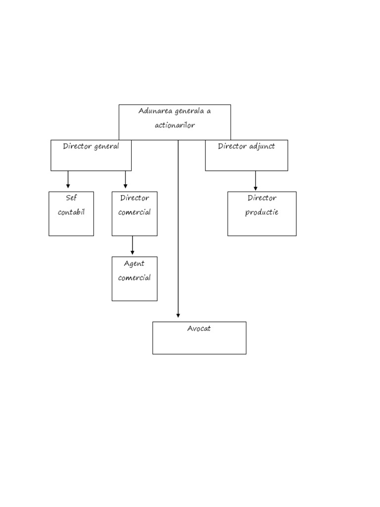 Adunarea Generala A Actionarilor | PDF