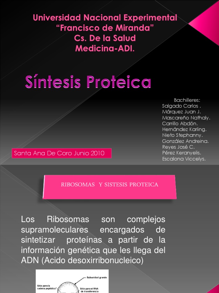 Presentaci n1 | PDF | Rna | Codigo genetico
