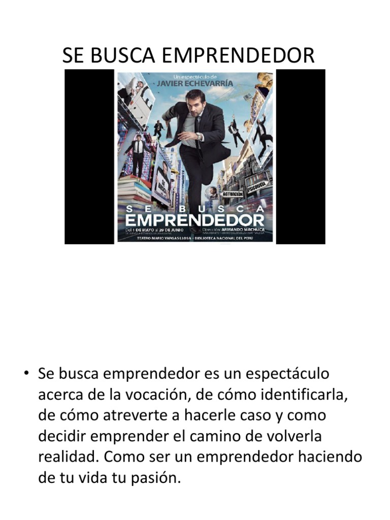 Se Busca Emprendedor | PDF