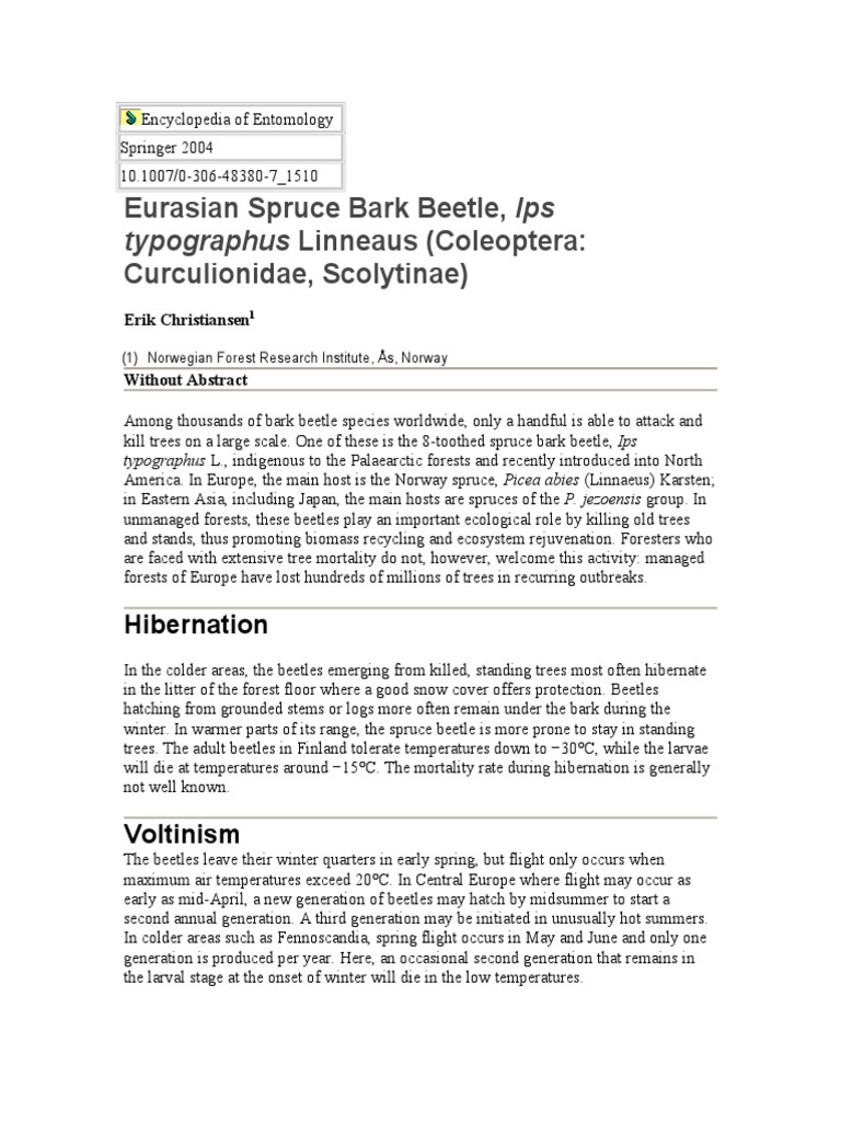 Eurasian Spruce Bark Beetle, Ips Typographus Linneaus | PDF | Organisms ...