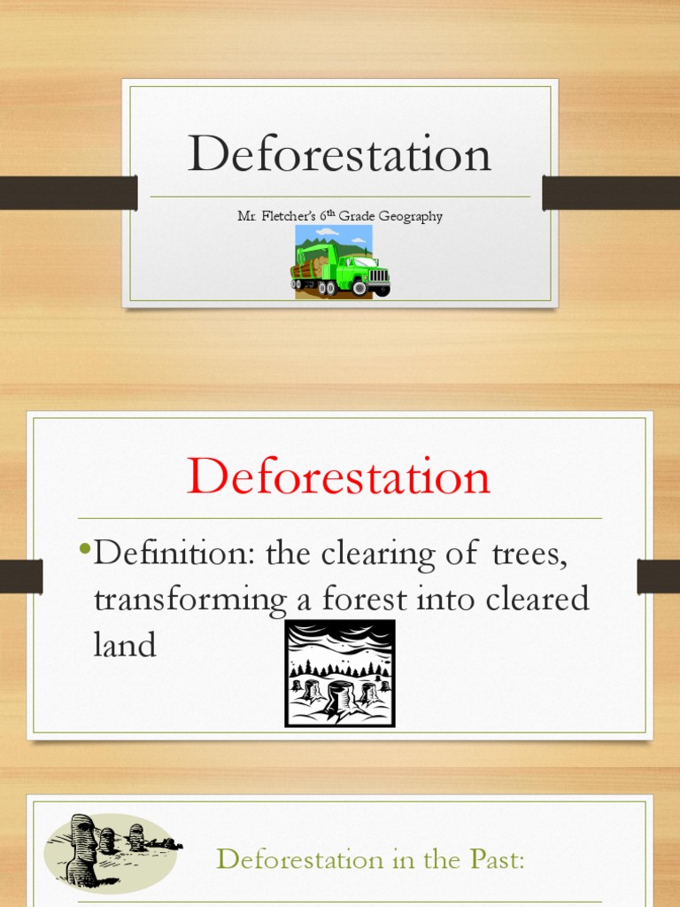 Deforestation | PDF | Social Science | Science & Mathematics