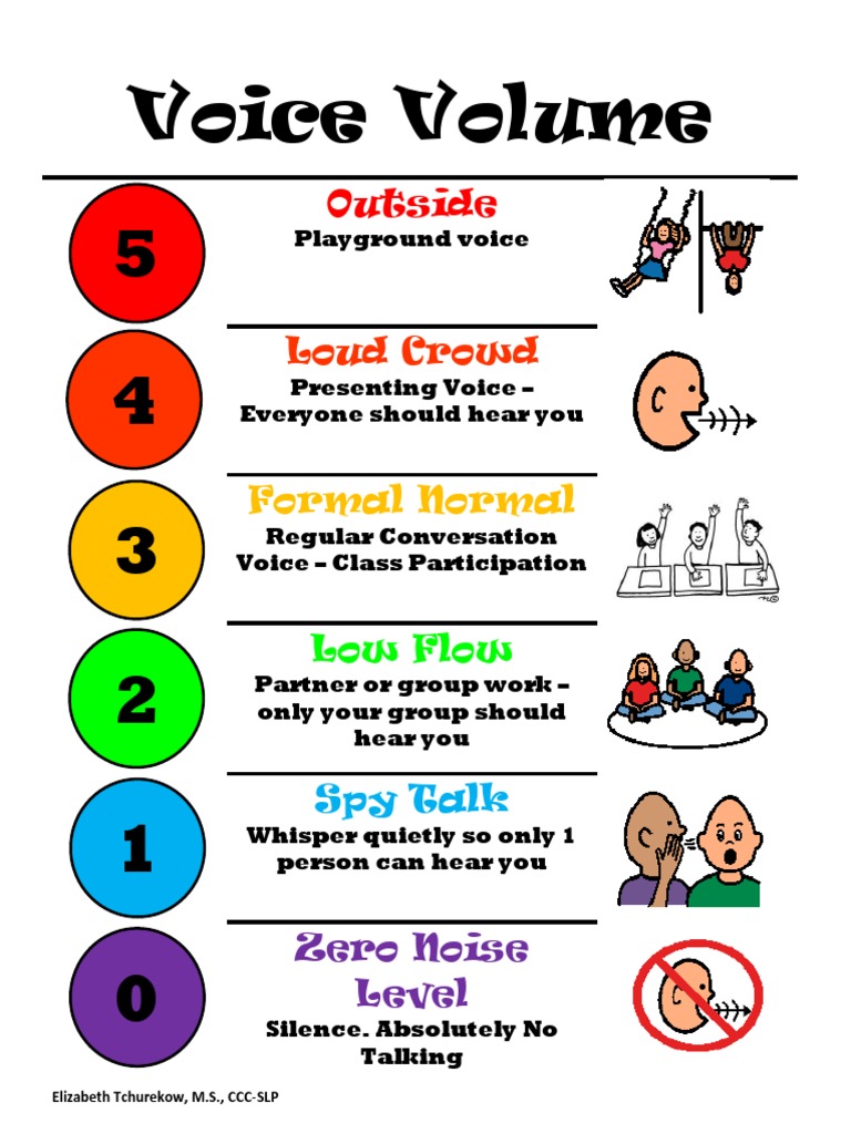 Voice Volume Levels Guide | PDF