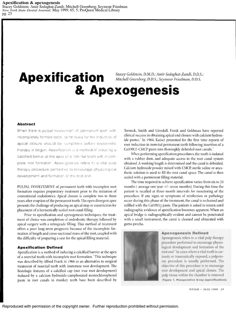 Apexification & Apexogenesis | PDF