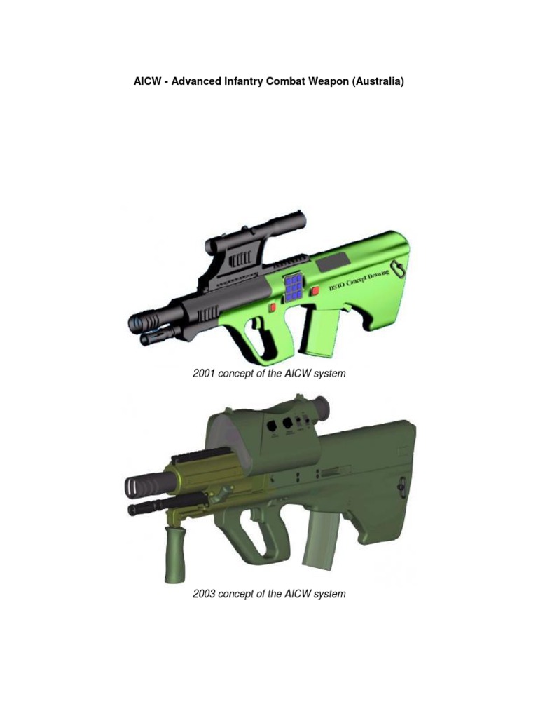 AICW | PDF | Rifle | Hazards