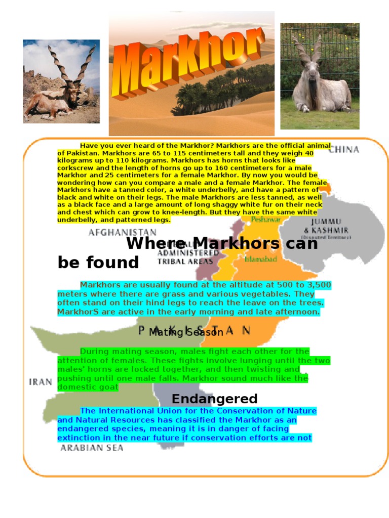 Markhor: Pakistan's Endangered National Animal | PDF