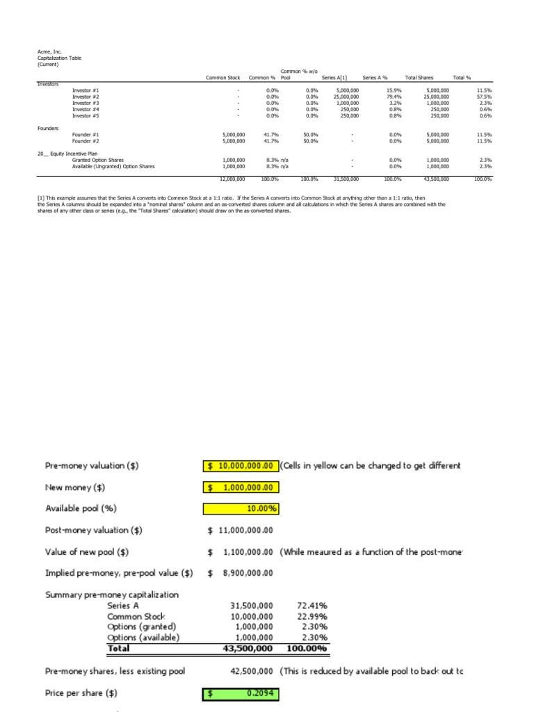 Acme Inc. Pro Forma Cap Table Example | PDF | Stocks | Market ...