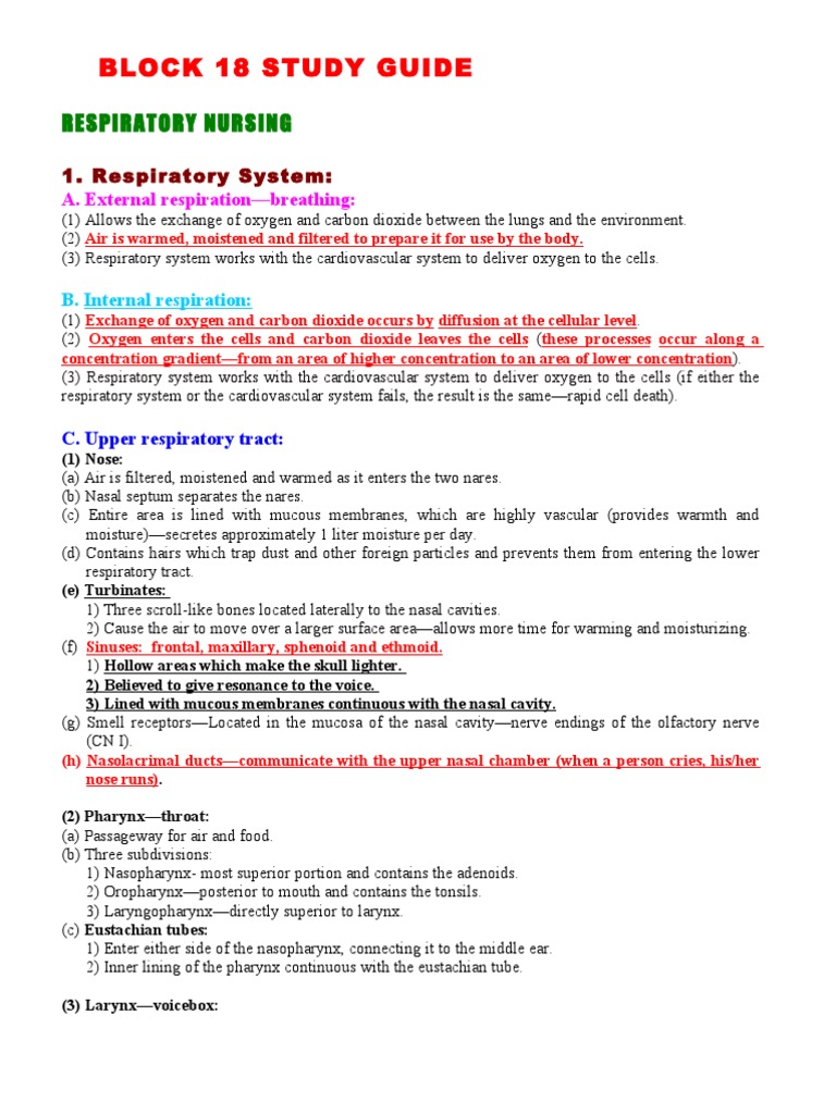 Respiratory System Disorders R/T Nursing | PDF