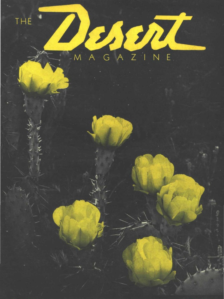 Desert Magazine 1949 May | PDF | Shoal | Ice