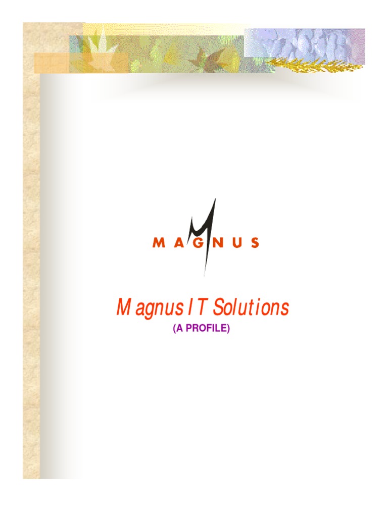 Magnus IT Solutions: (A Profile) | PDF | Enterprise Resource Planning ...