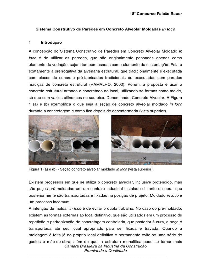 Sistema Construtivo de Paredes em Concreto Alveolar Moldadas in Loco ...