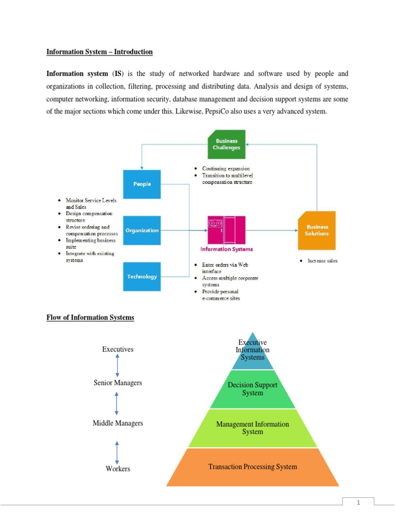 PepsiCo Information Systems Overview | PDF | Enterprise Resource ...