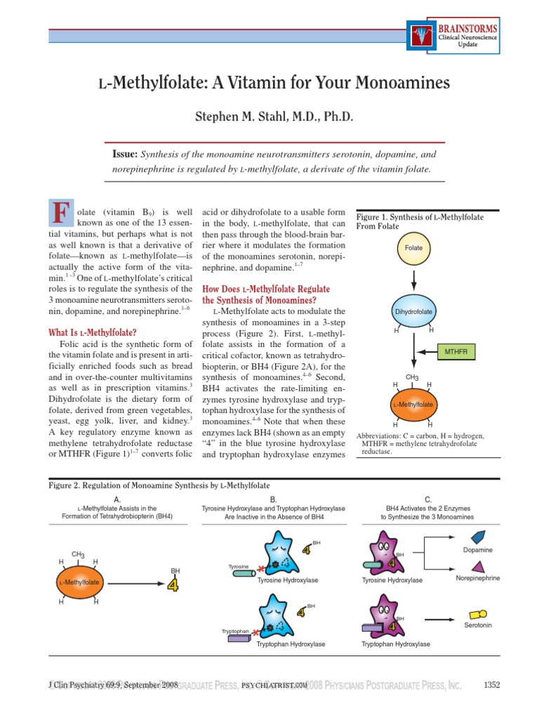 380 L Methylfolate | PDF | Folic Acid | Diet & Nutrition