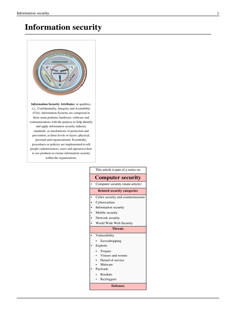 Information Security | PDF | Information Security | Vulnerability (Computing)