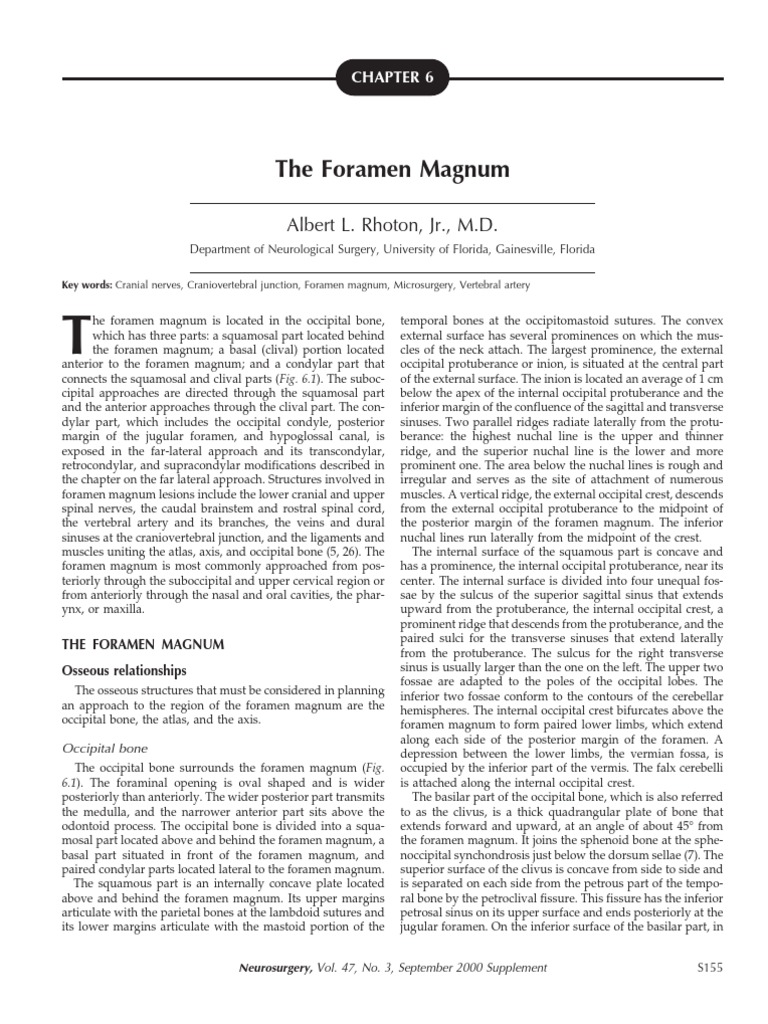 Anatomy and Function of the Foramen Magnum | PDF | Vertebra | Vertebral ...