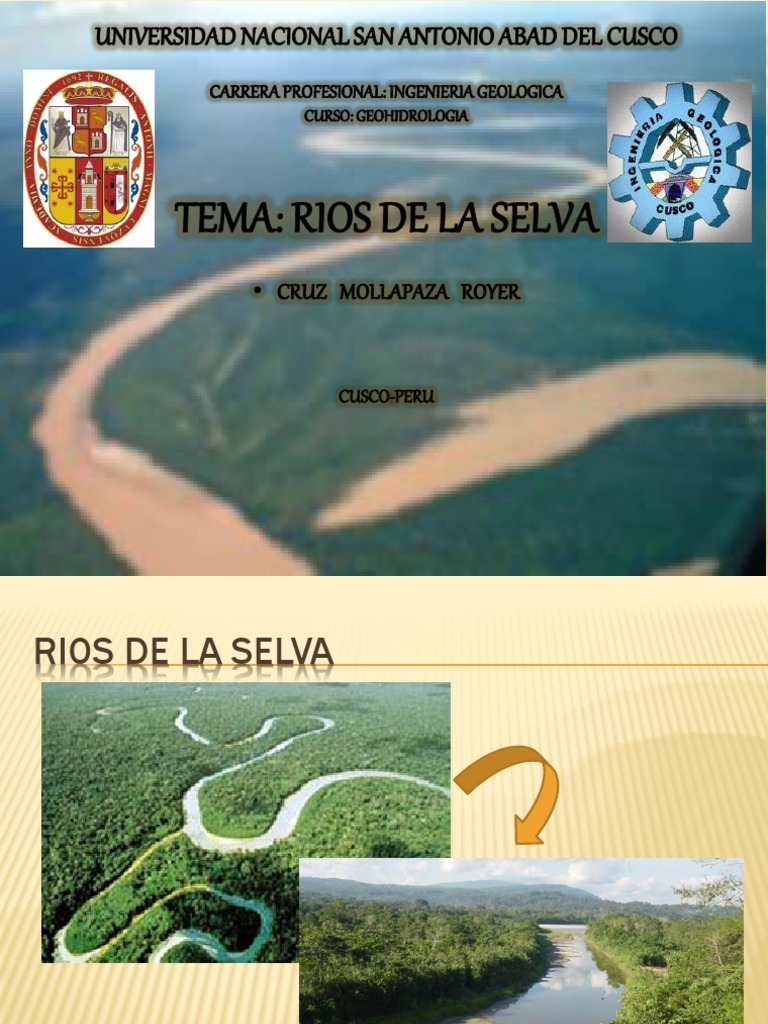 Rios de La Selva | PDF | río Amazonas | Río