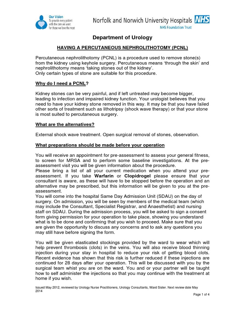 Having A Percutaneous Nephrolithotomy (PCNL) | PDF | Urology | Surgery