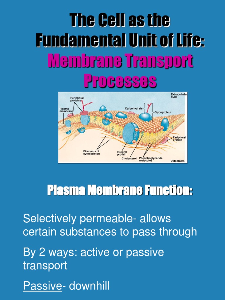 The Cell As The Fundamental Unit of Life:: Membrane Transport Processes ...