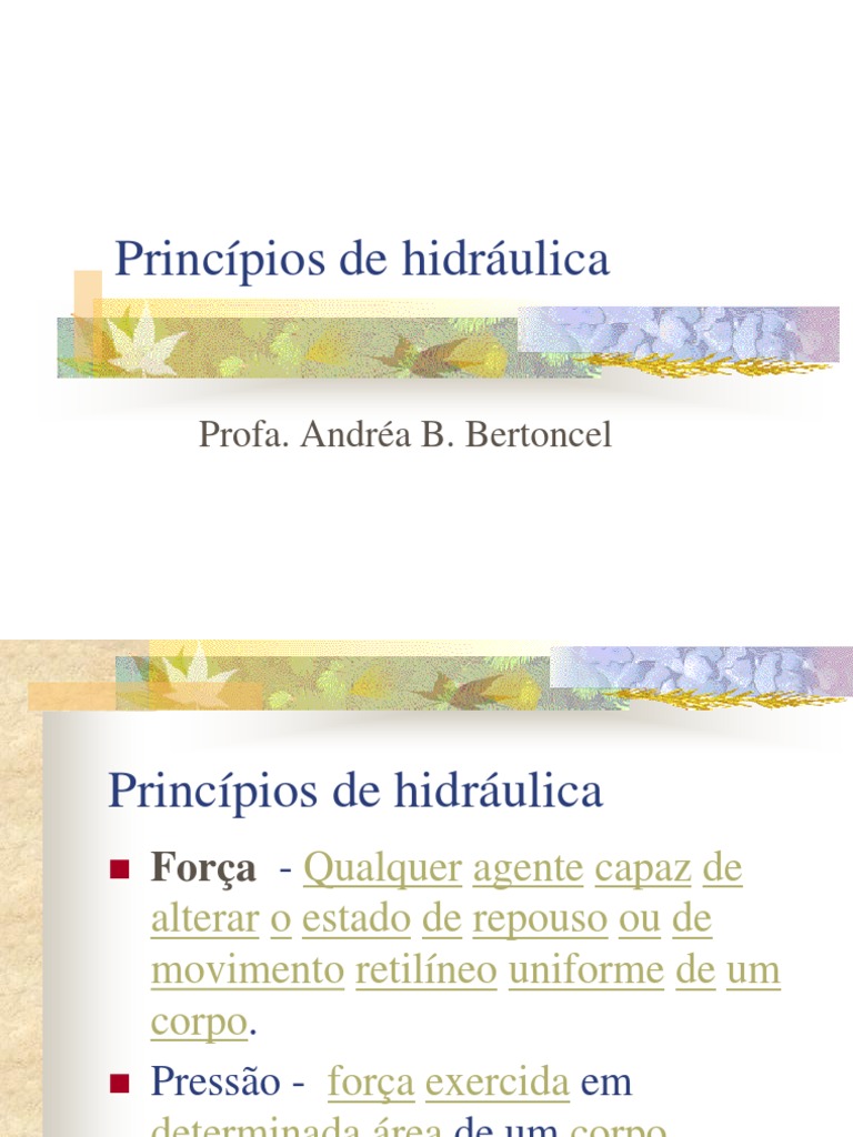 Princípios de Hidráulica | PDF | Pressão | Ciências Físicas