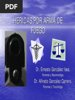 Signo de Puppe Werkgartner en balística | PDF | Libros para adolescentes