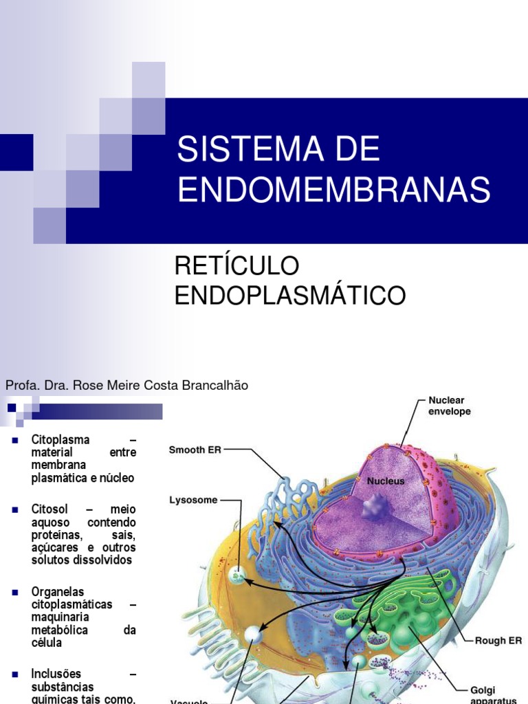 Sistema de Endomembranas | PDF | Citoplasma | Lipídio