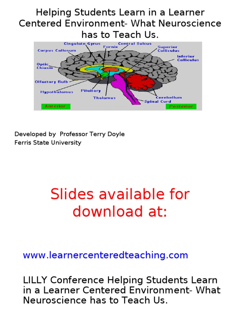 Lilly 2009 Presentation Part 1 | PDF | Memory | Brain
