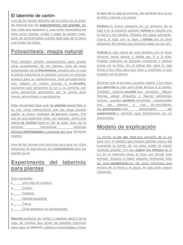 El Laberinto de Cartón | PDF | Plantas | Ligero