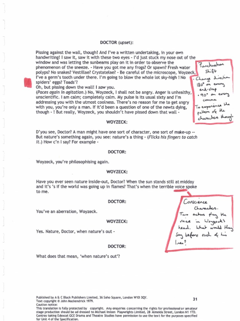 Woyzeck Annotated Script 3 | PDF