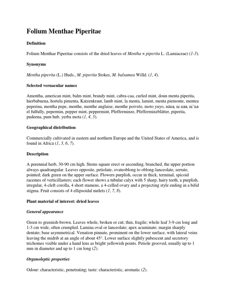 Folium Menthae Piperitae | Mentha | Earth & Life Sciences