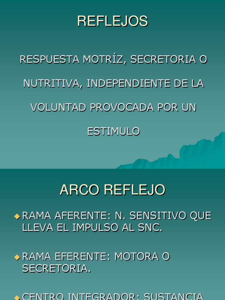 Clasificación y Alteración de Reflejos | PDF | Contracción muscular ...