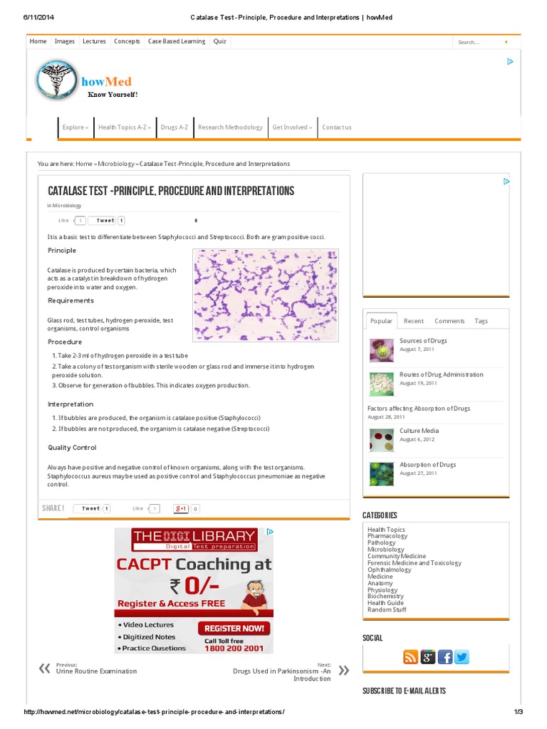 Catalase Test Principle Procedure And Interpretations Howmed Pdf