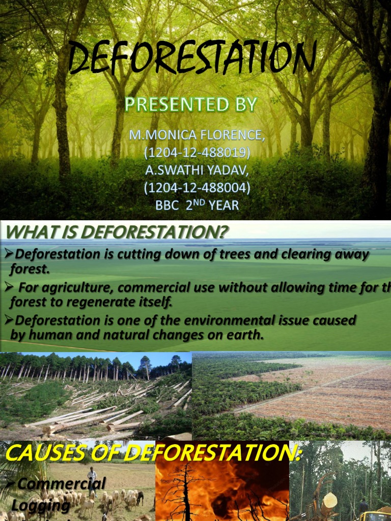 Deforestation | PDF | Deforestation | Rainforest