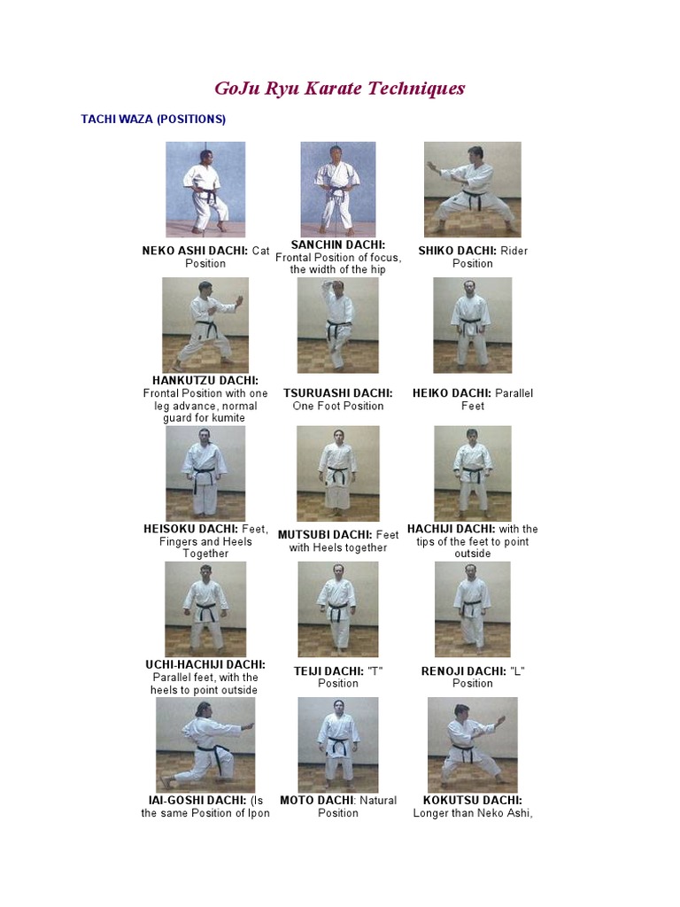 GoJu Ryu Karate Techniques | Karate | Individual Sports