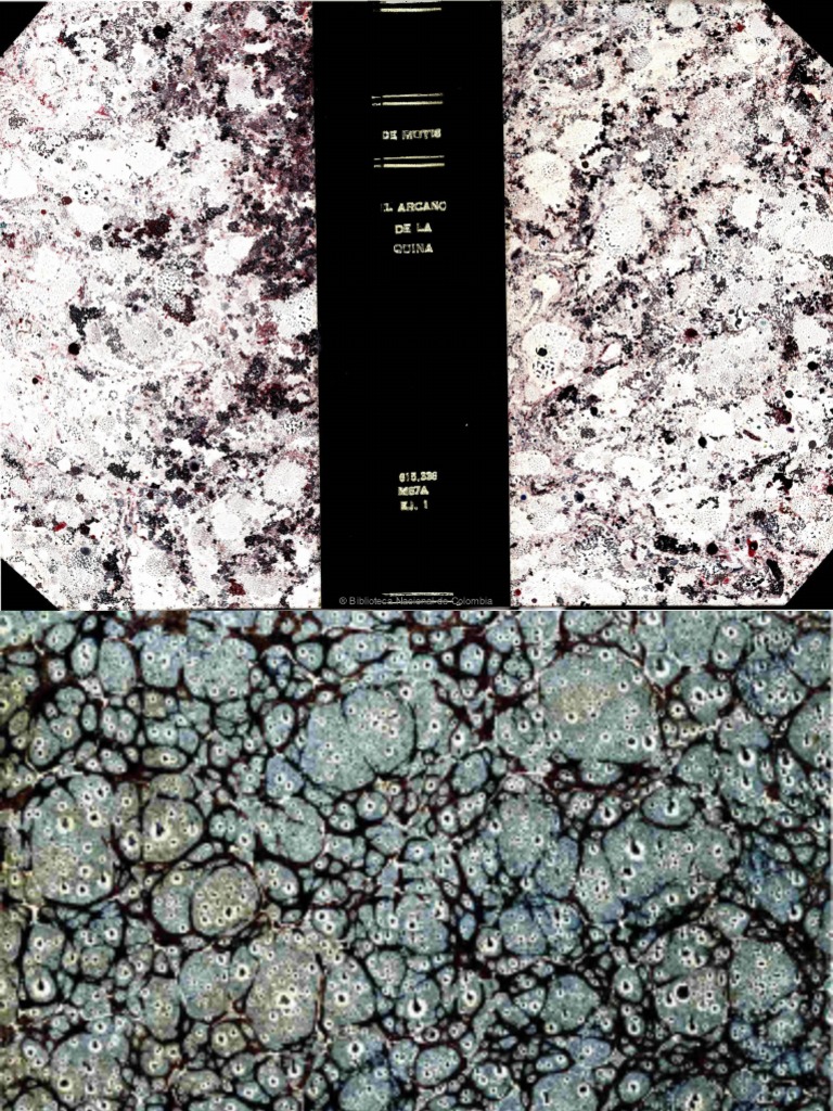 Arcano de La Quina 615 - 336 - M87a | PDF | España | Colombia
