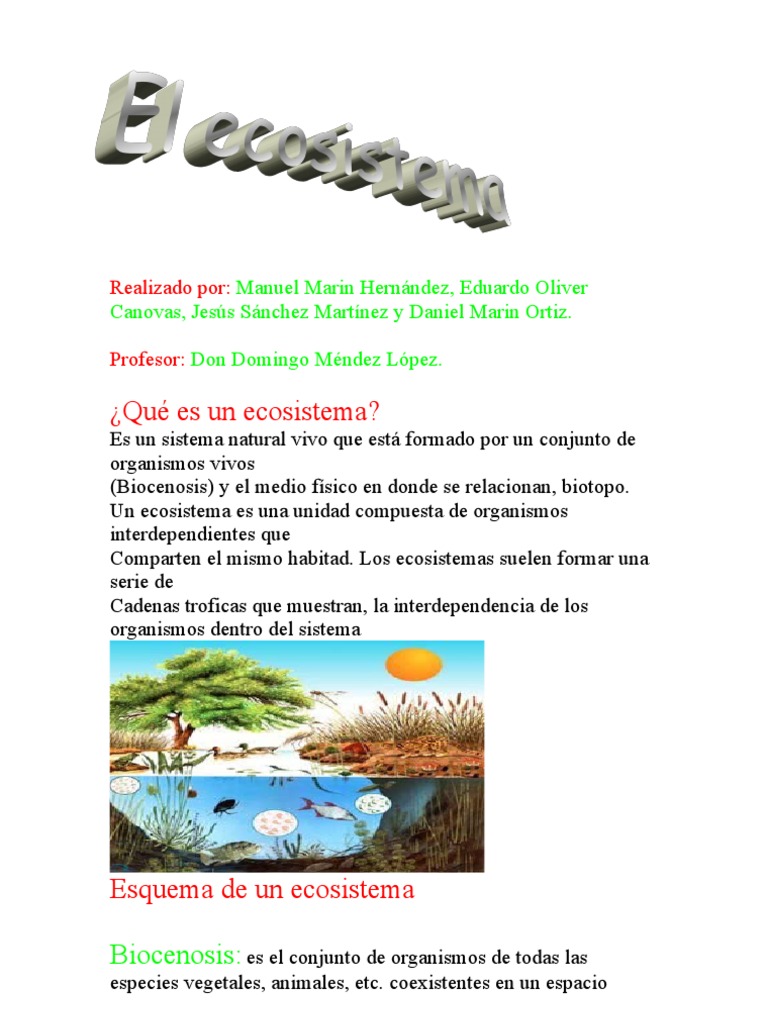 Funcionamiento y tipos de ecosistemas | PDF | Ecosistema | Habitat