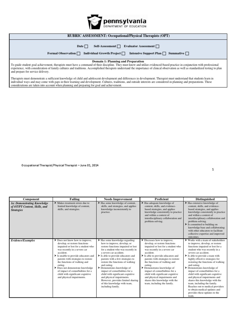 RUBRIC ASSESSMENT: Occupational/Physical Therapists (OPT) | PDF ...