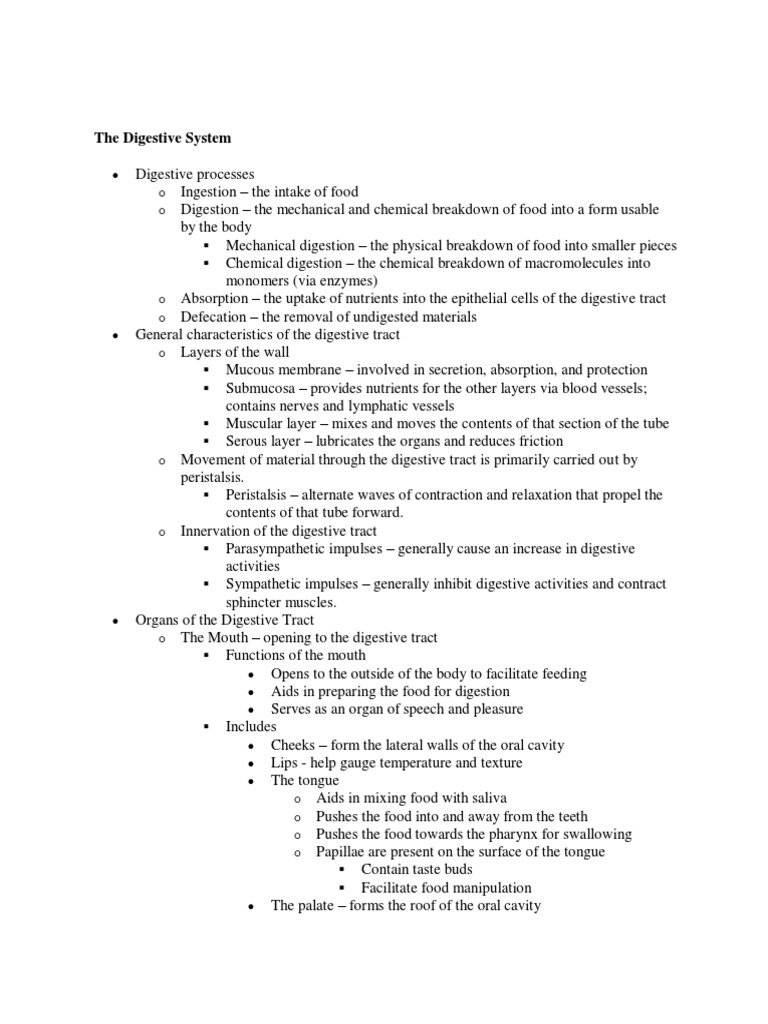 Digestive System Notes | PDF | Stomach | Human Digestive System