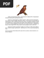 Story of Pilandok | PDF