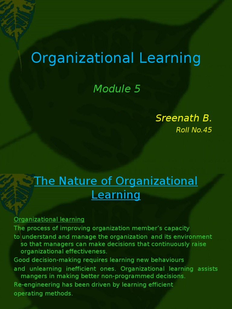 Organizational Learning | PDF | Decision Making | Learning