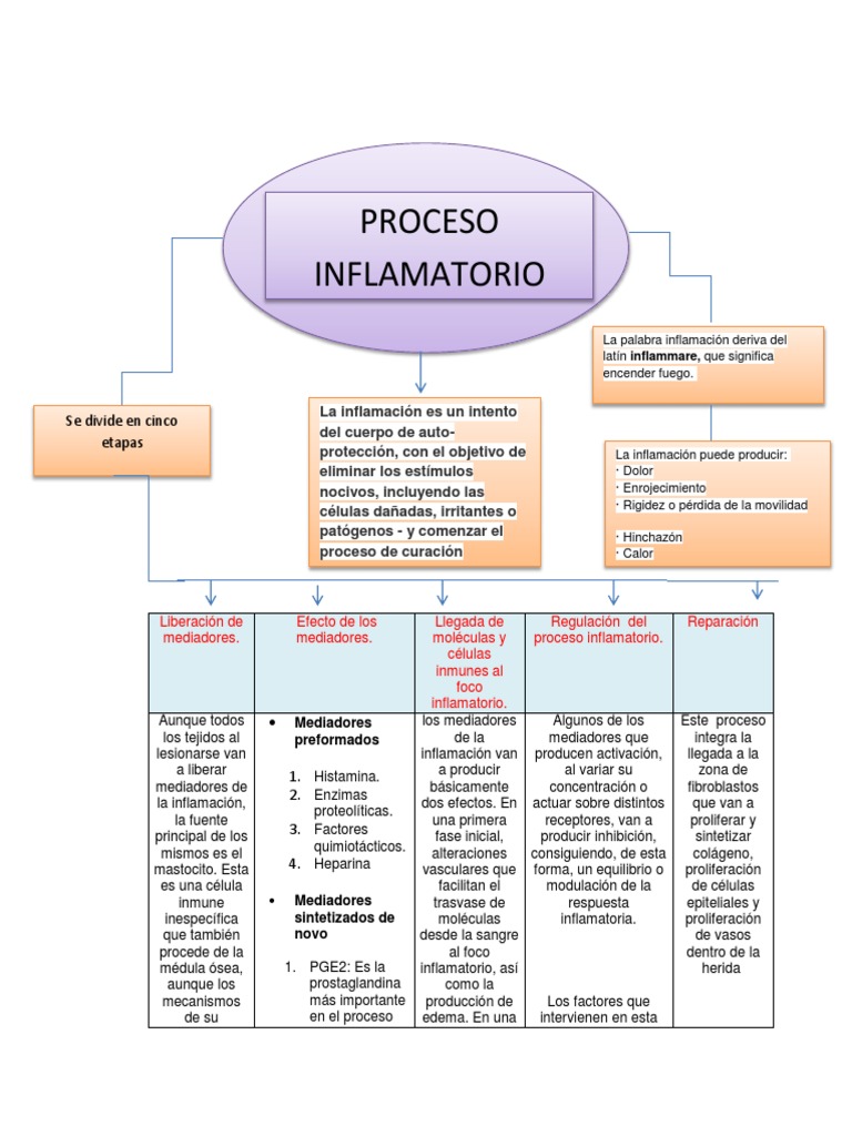 Mapa Mental de Proceso Inflamatorio FernandaCervantesGomez 3_B ...