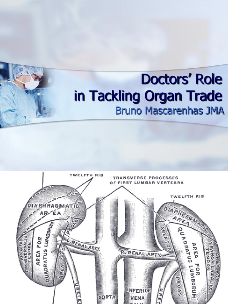Doctors' Role in Tackling Organ Trade | PDF | Organ Donation | Organ ...