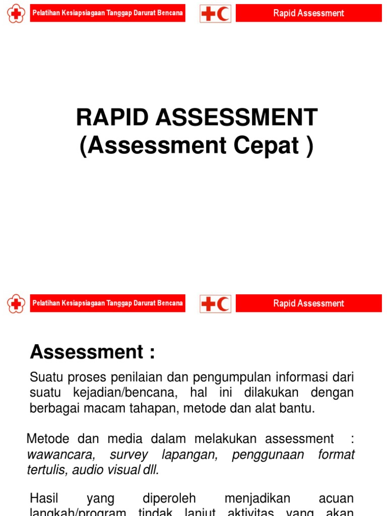 Rapid Assesment | PDF