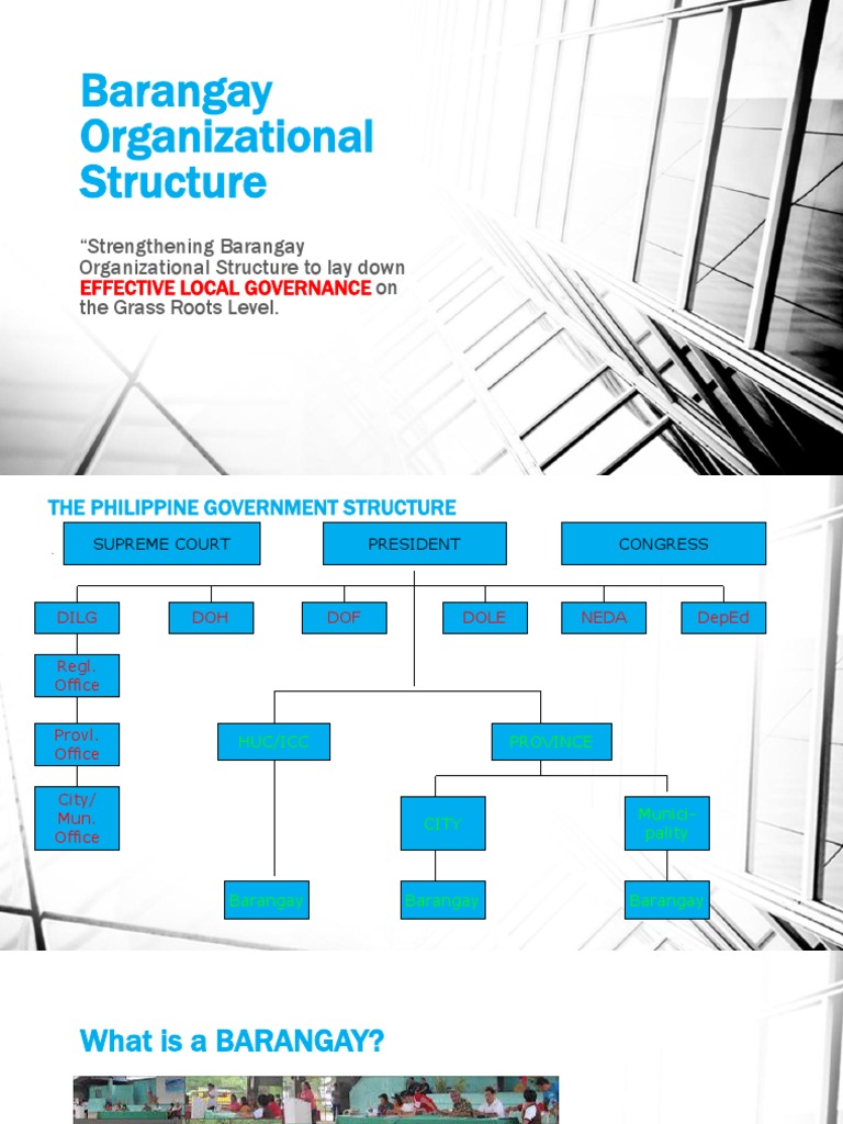 Revised Barangay Organizational Structure | Volunteering | Politics