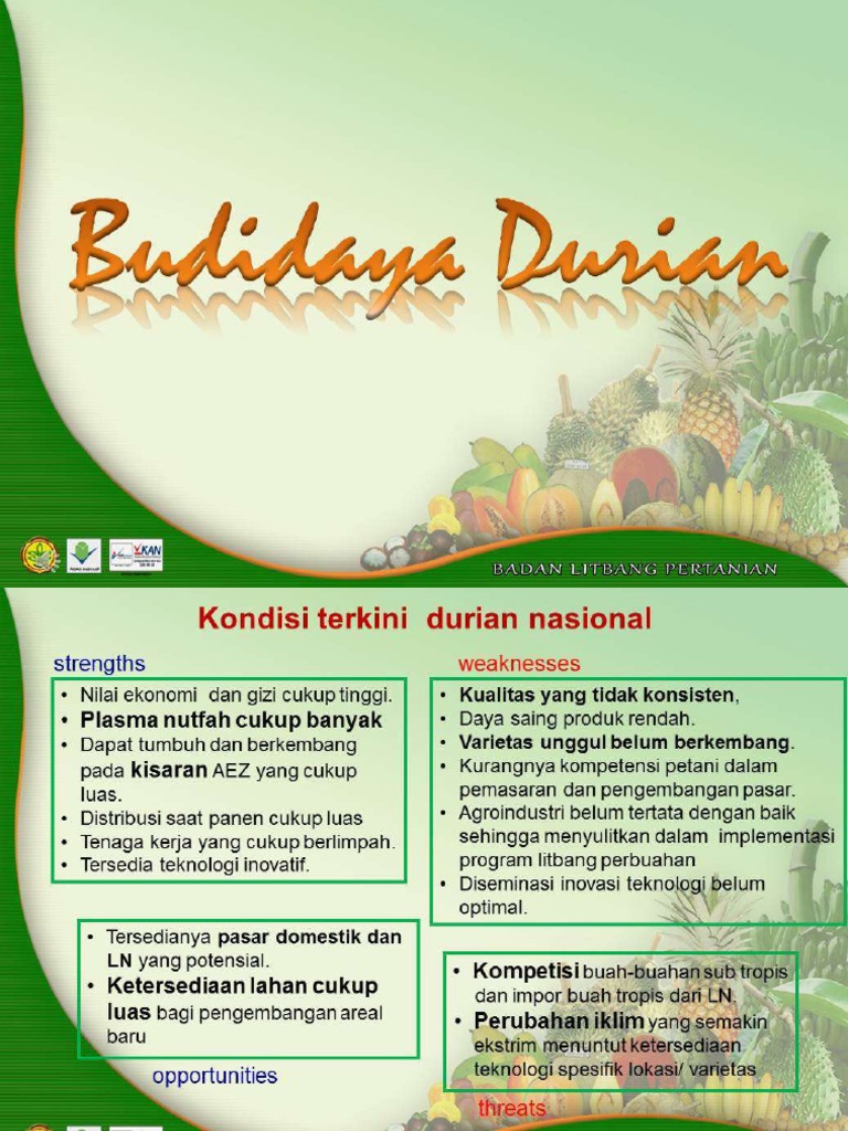 Budidaya Durian | PDF