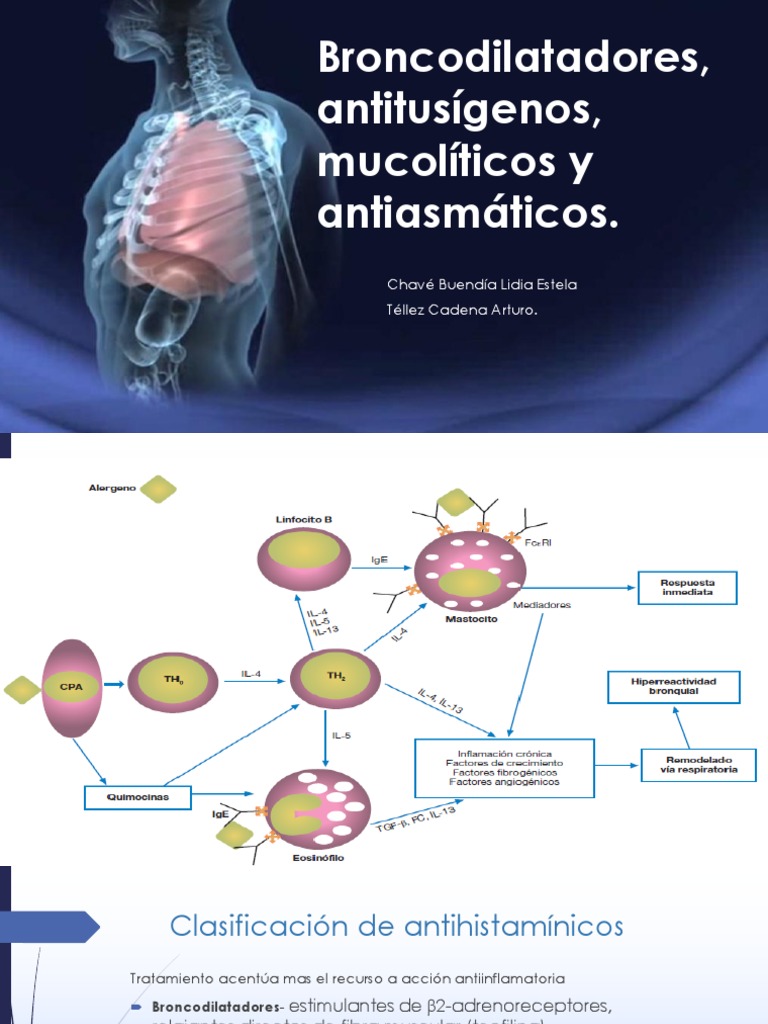 Broncodilatadores, Antitusígenos, Mucolíticos y Antiasmáticos (1 ...