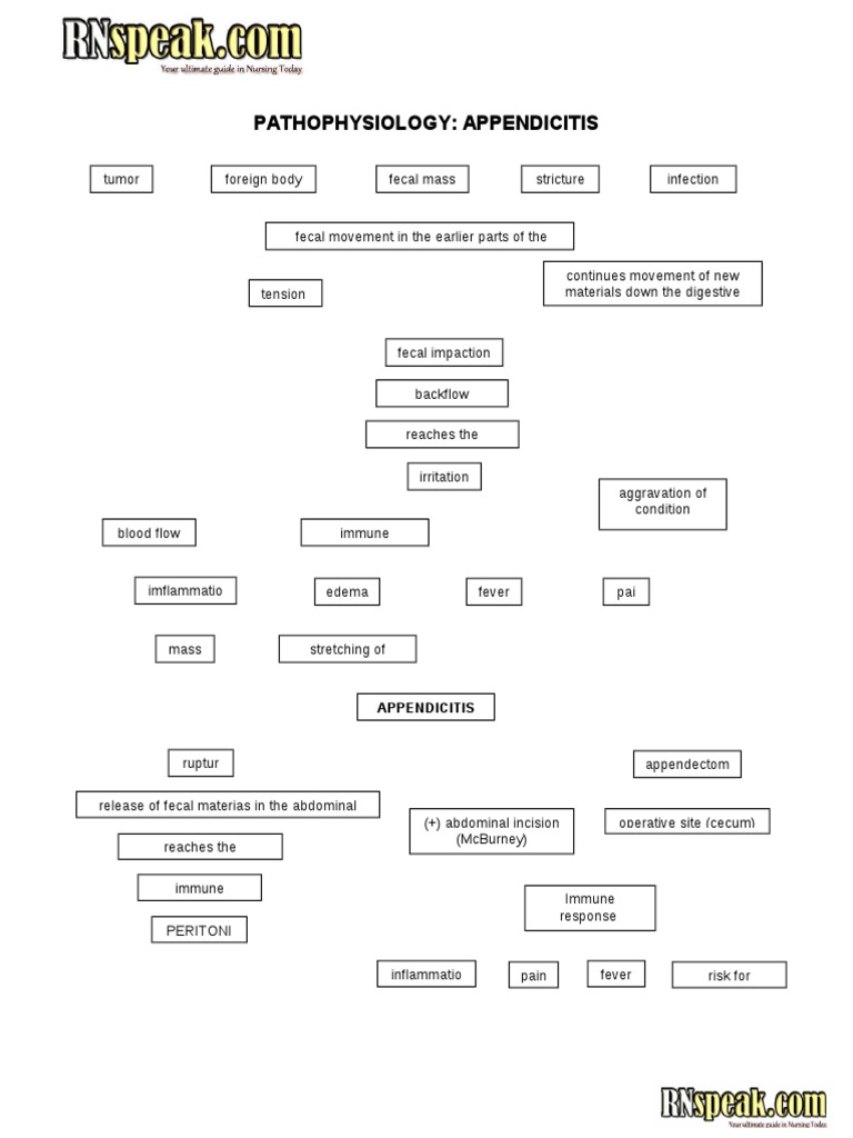 Appendicitis Pathophysiology Overview | PDF