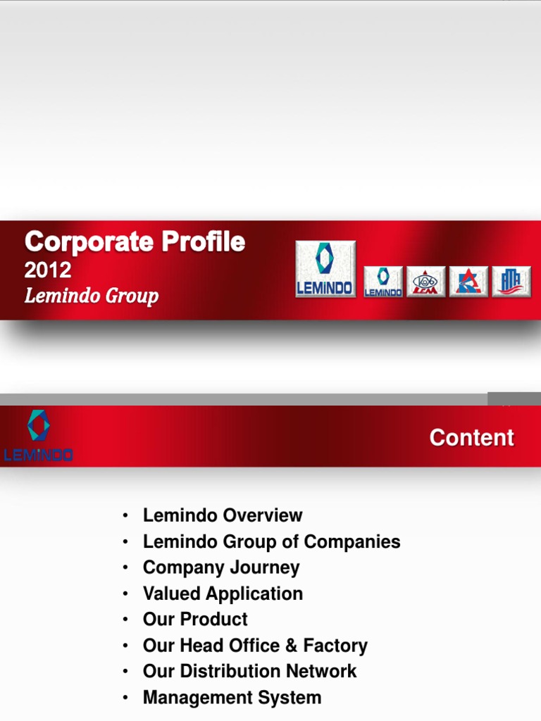 Lemindo Group Company Overview | PDF | Manmade Materials | Industries