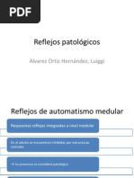 Reflejo Cremasterico | PDF