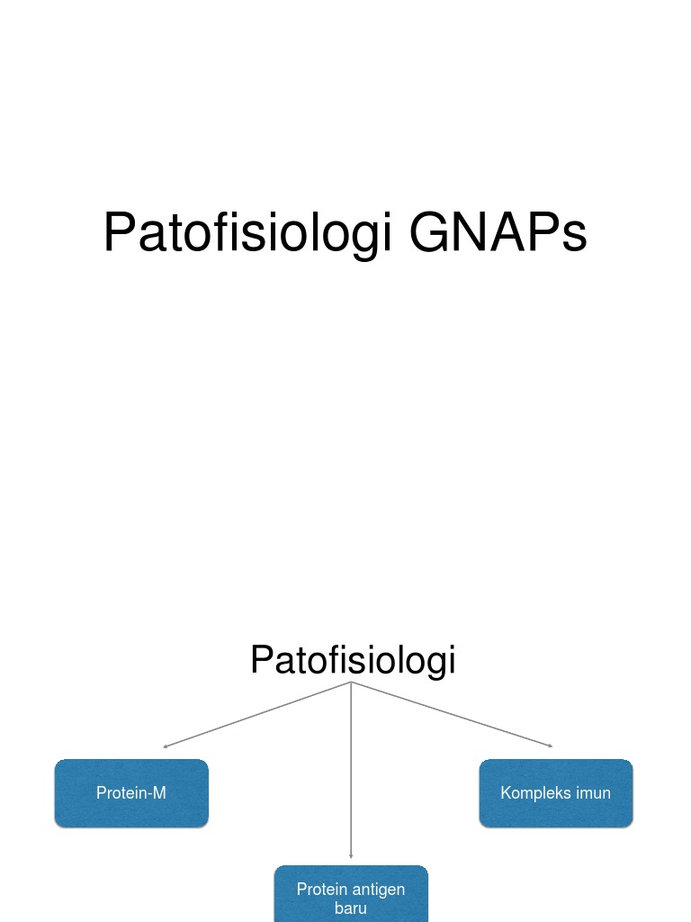 Patofisiologi Gnaps | PDF
