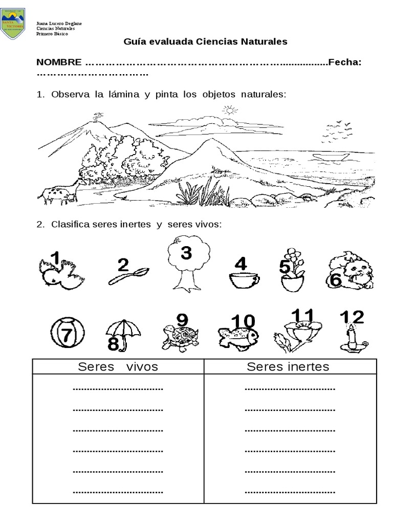 Guia Evaluada de Seres Vivos y Objetos | PDF