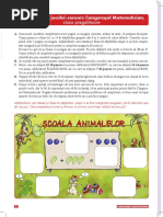 Subiecte Clasa I La Canguraşul Matematician | PDF